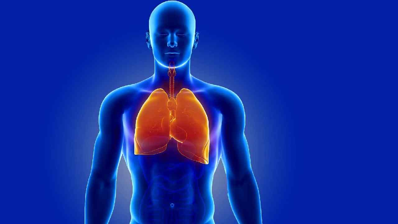 Natural Ways to Cleanse and Strengthen Your Lungs